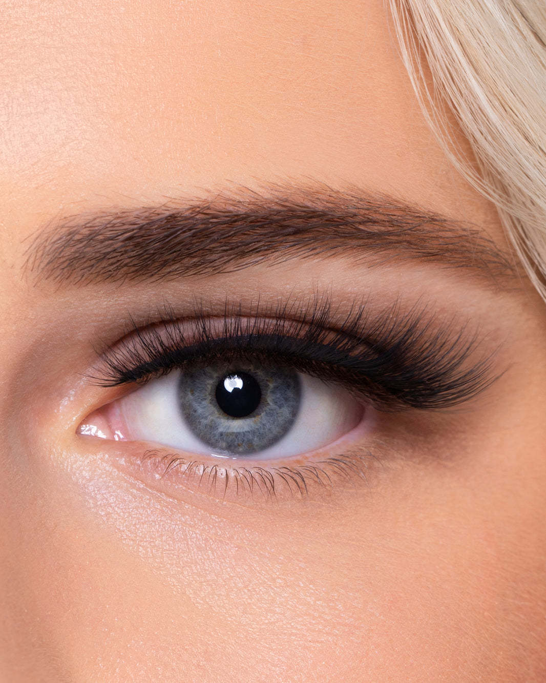 Sheer Band – Lilly Lashes