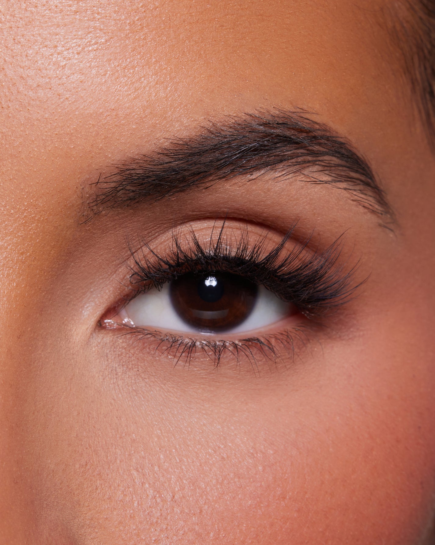 Desirable Sheer Invisible Band False Lash – Lilly Lashes