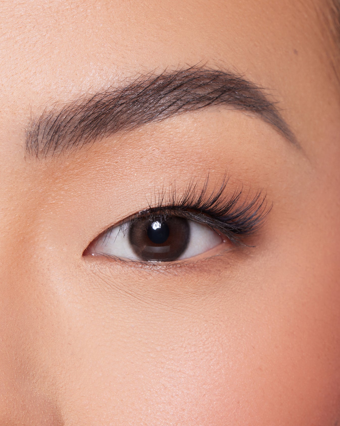 Enticing Half Lash – Lilly Lashes