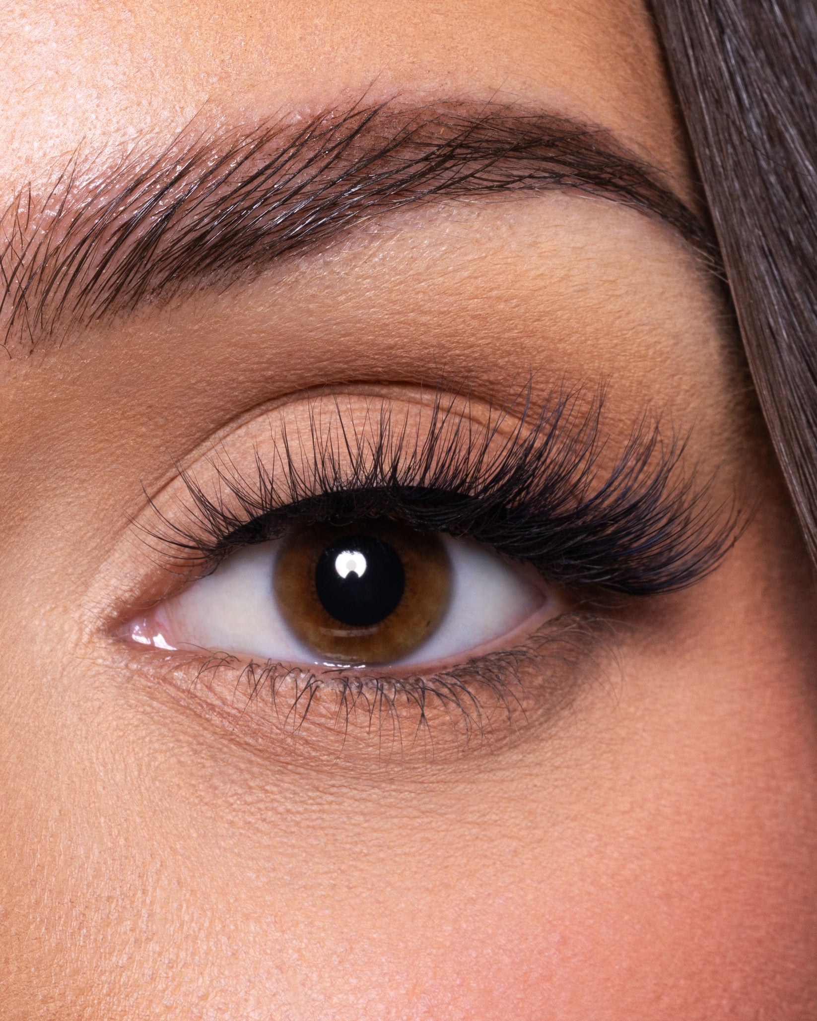 Megan | ULTA Exclusive False Eyelashes | Lilly Lashes