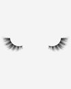 Sassy Half Lash – Lilly Lashes